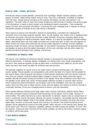 Muscle tone | DOCX