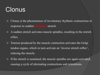 Muscle tone PBL MBBS | PPTX