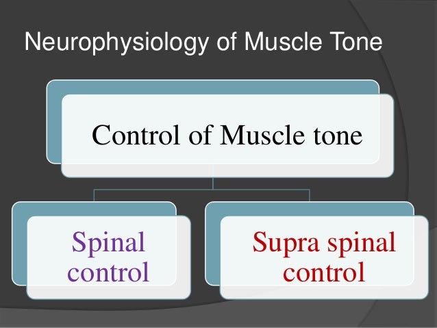 Muscle tone PBL MBBS