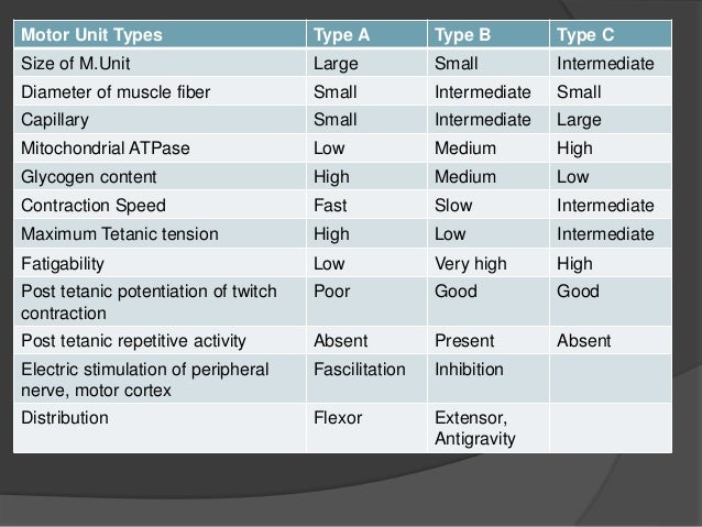 Muscle tone PBL MBBS