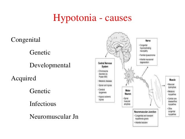 Muscle tone munish G B PANT DELHI