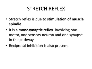 Muscle tone roohi | PPTX