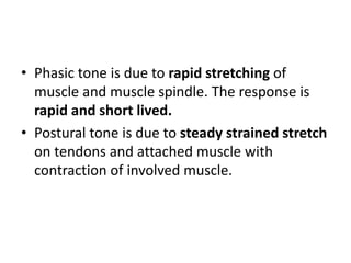 Muscle tone roohi | PPTX