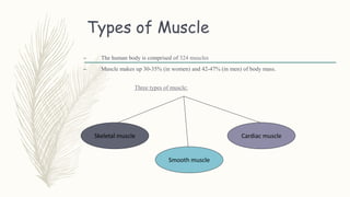 Muscle types | PPT