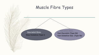 Muscle types | PPTX
