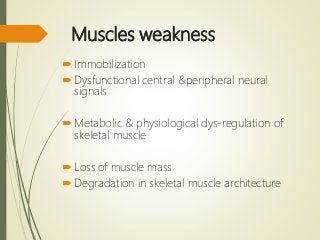 Muscle ultrasound for nutritional | PPTX