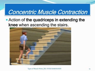 musclework-191003092206.pdf