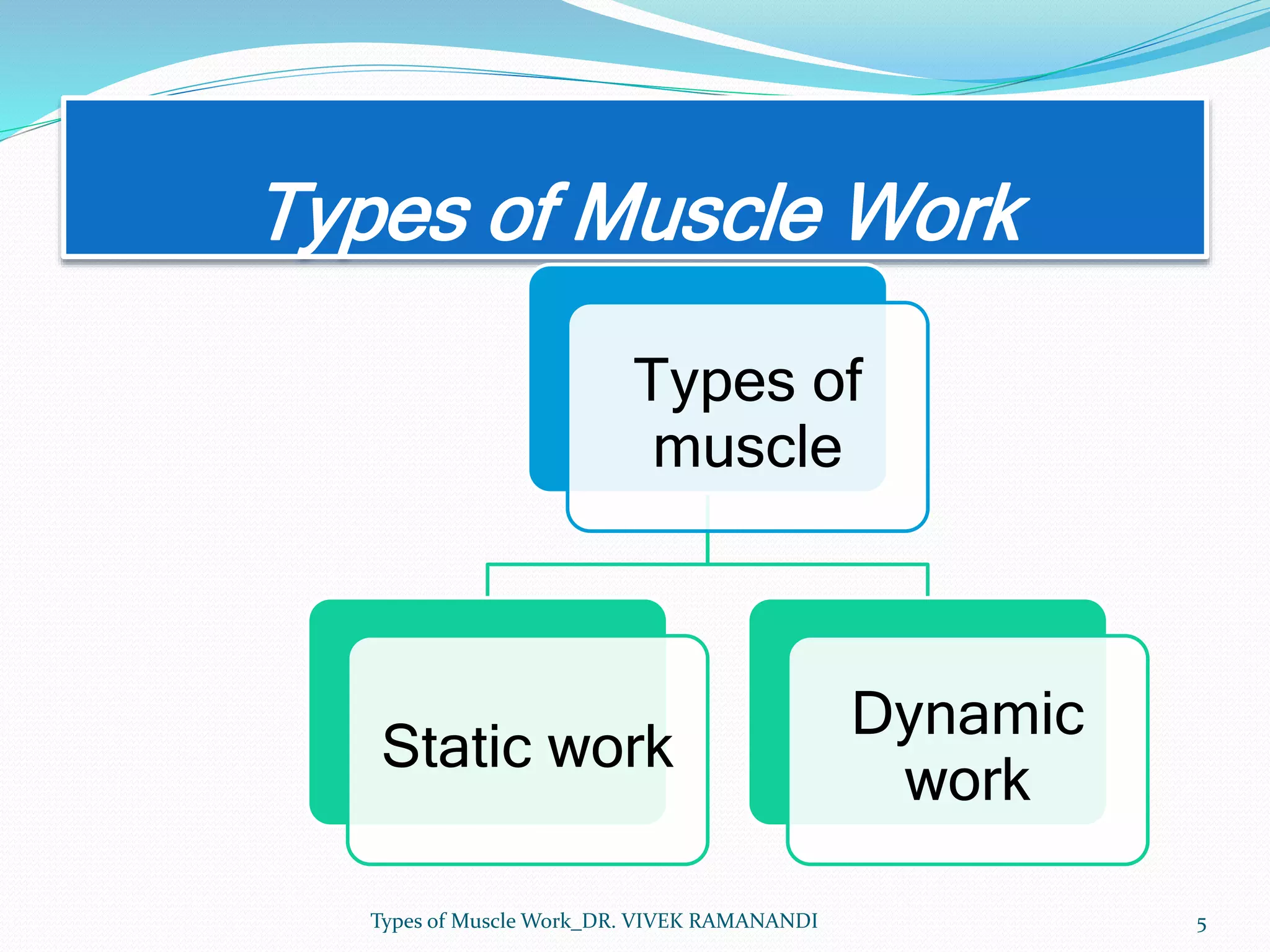 Muscle work | PPTX