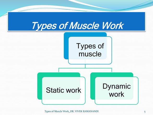 Muscle work | PPTX
