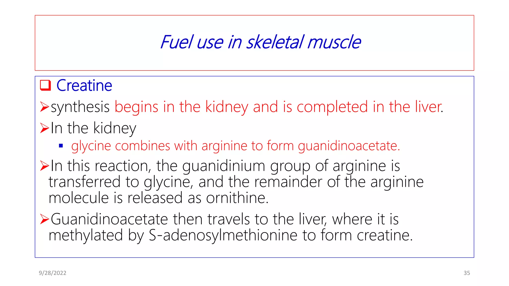 Musclo skeletal system biochemistry.pptx