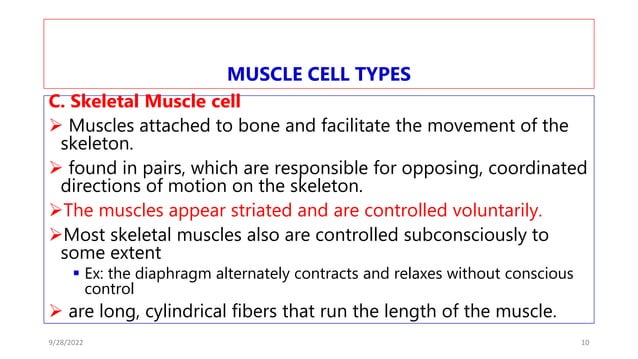 Musclo skeletal system biochemistry.pptx