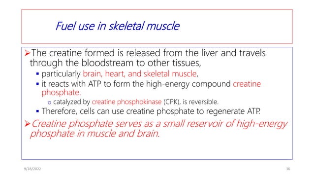 Musclo skeletal system biochemistry.pptx