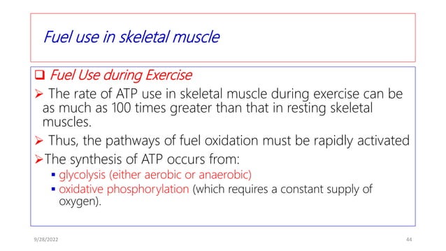 Musclo skeletal system biochemistry.pptx