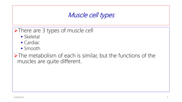 Musclo skeletal system biochemistry.pptx