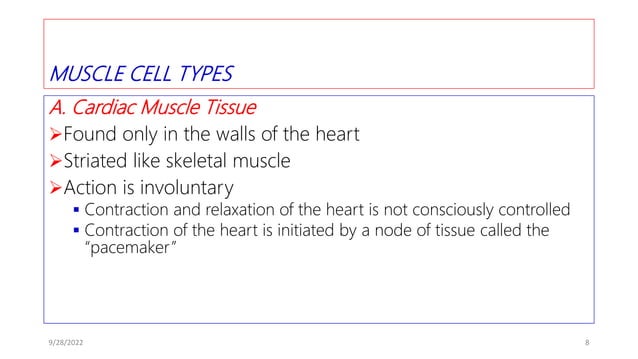 Musclo skeletal system biochemistry.pptx