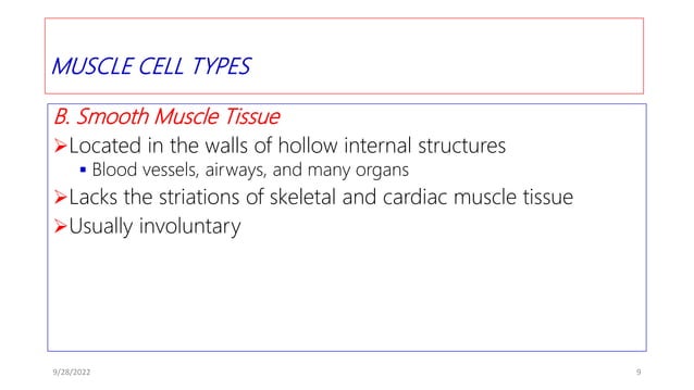 Musclo skeletal system biochemistry.pptx
