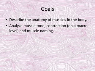 Muscular system 2 | PPTX