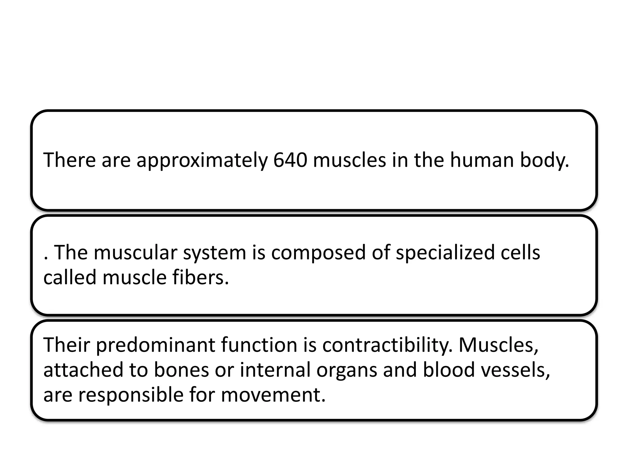 Musclular system introduction | PPTX
