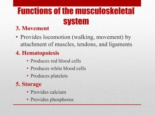 muscluskeletal assessment...........pptx