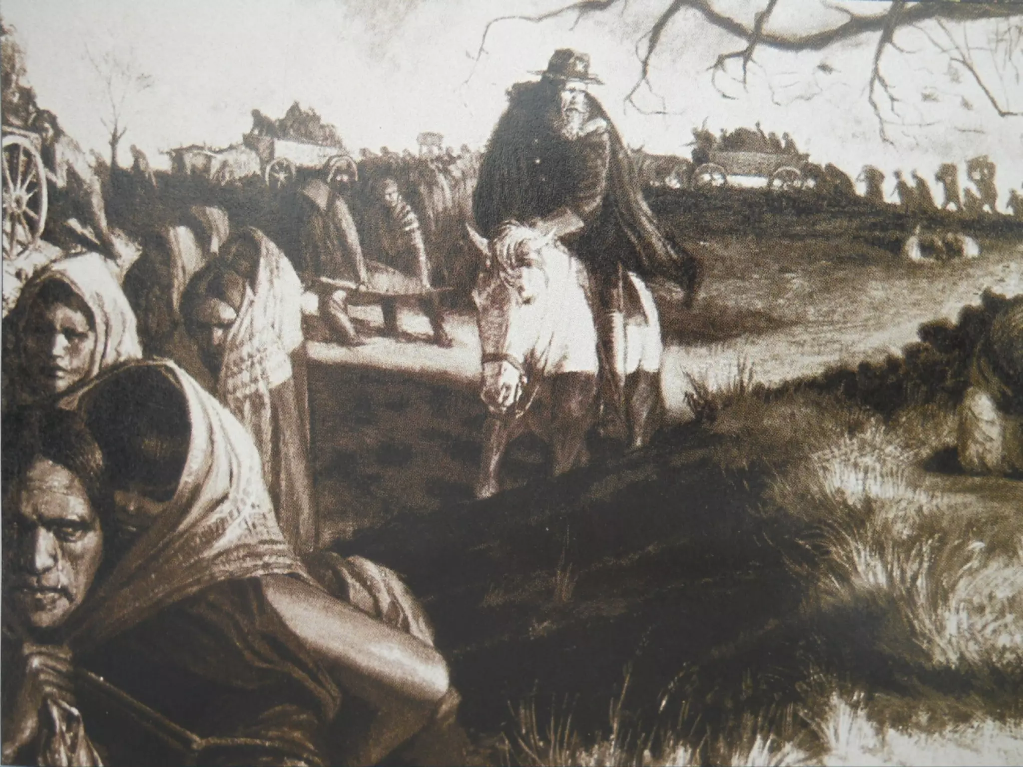 Muscogee (Creek) Nation | PPT