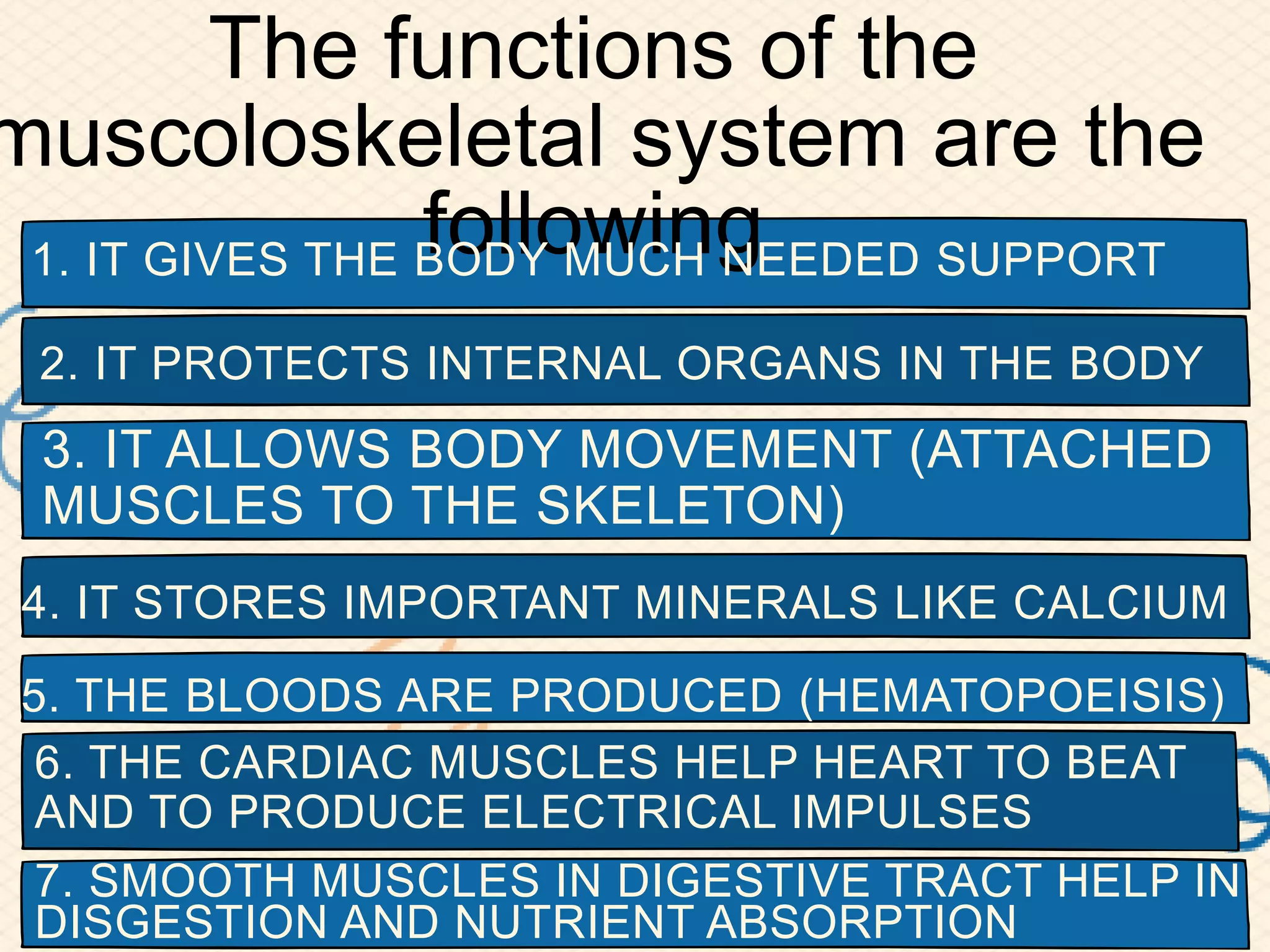 Muscoloskeletal System- Science Grade 6.pptx