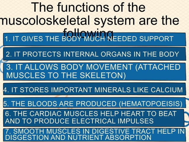 Muscoloskeletal System- Science Grade 6.pptx | Bone and Joint ...