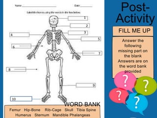 Muscoloskeletal System- Science Grade 6.pptx
