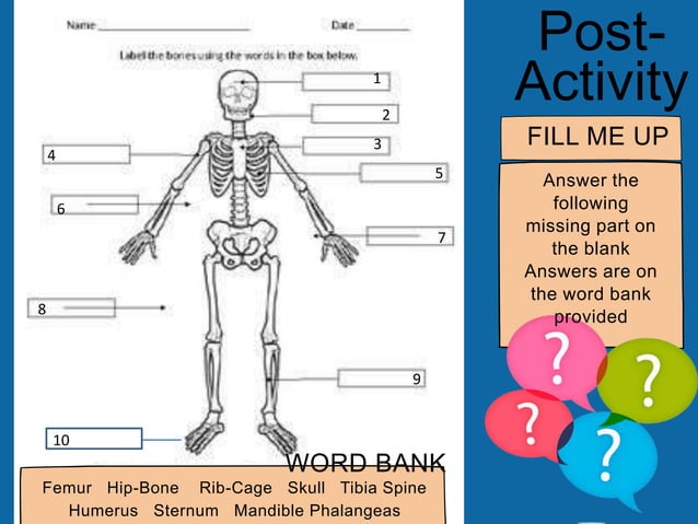 Muscoloskeletal System- Science Grade 6.pptx | Bone and Joint ...