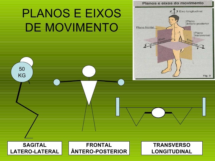 Musculacao planos e eixos