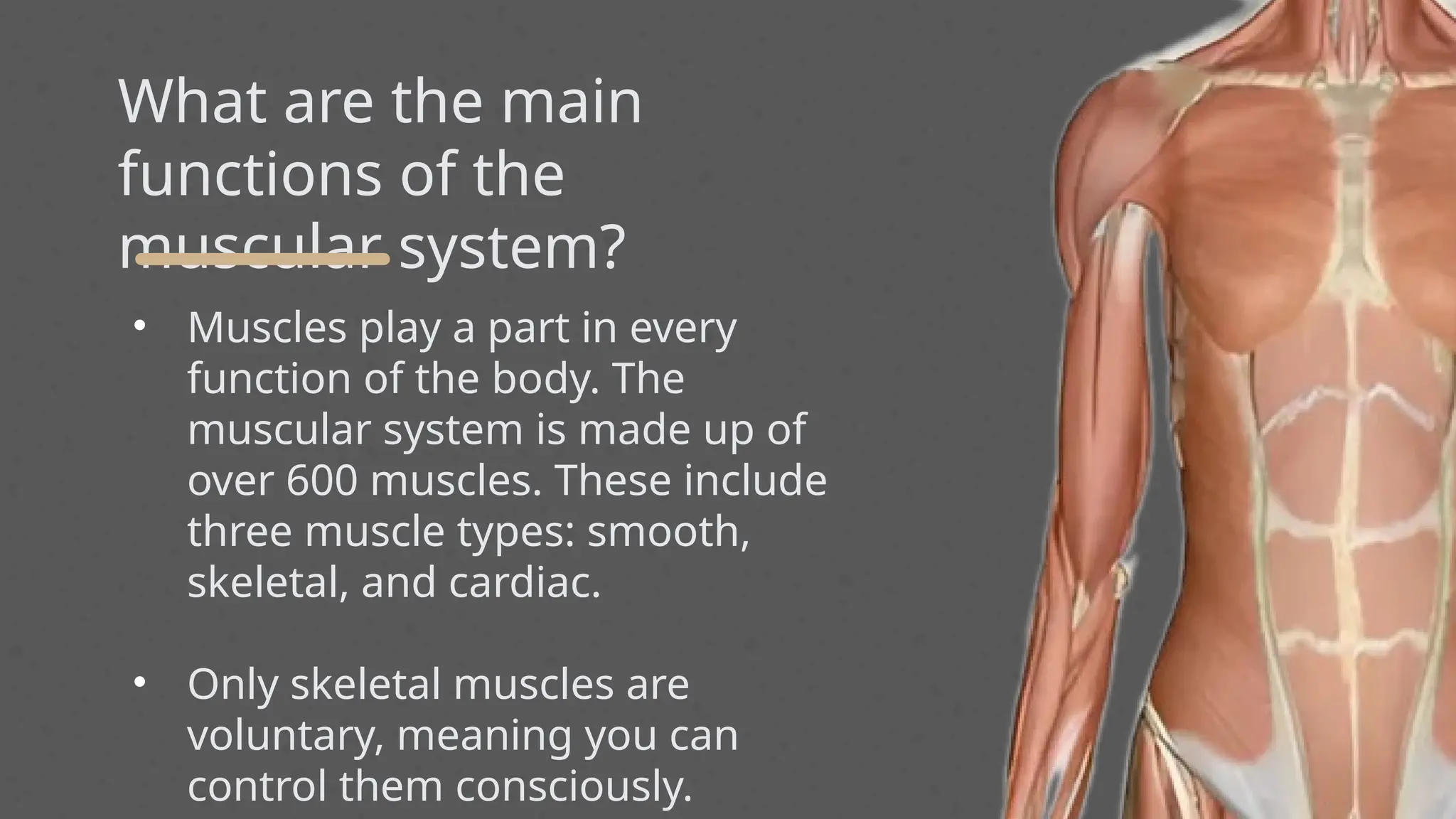muscular system-earth and life science.pptx