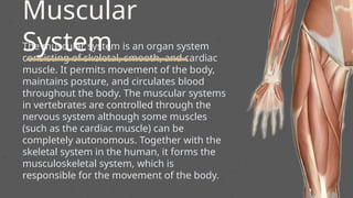 muscular system-earth and life science.pptx