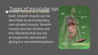 muscular system-earth and life science.pptx