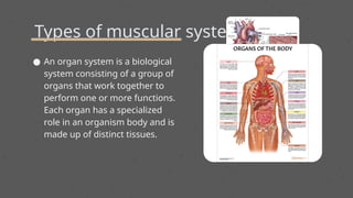 muscular system-earth and life science.pptx