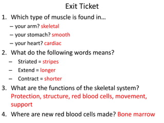 Muscular and skeletal systems | PPT