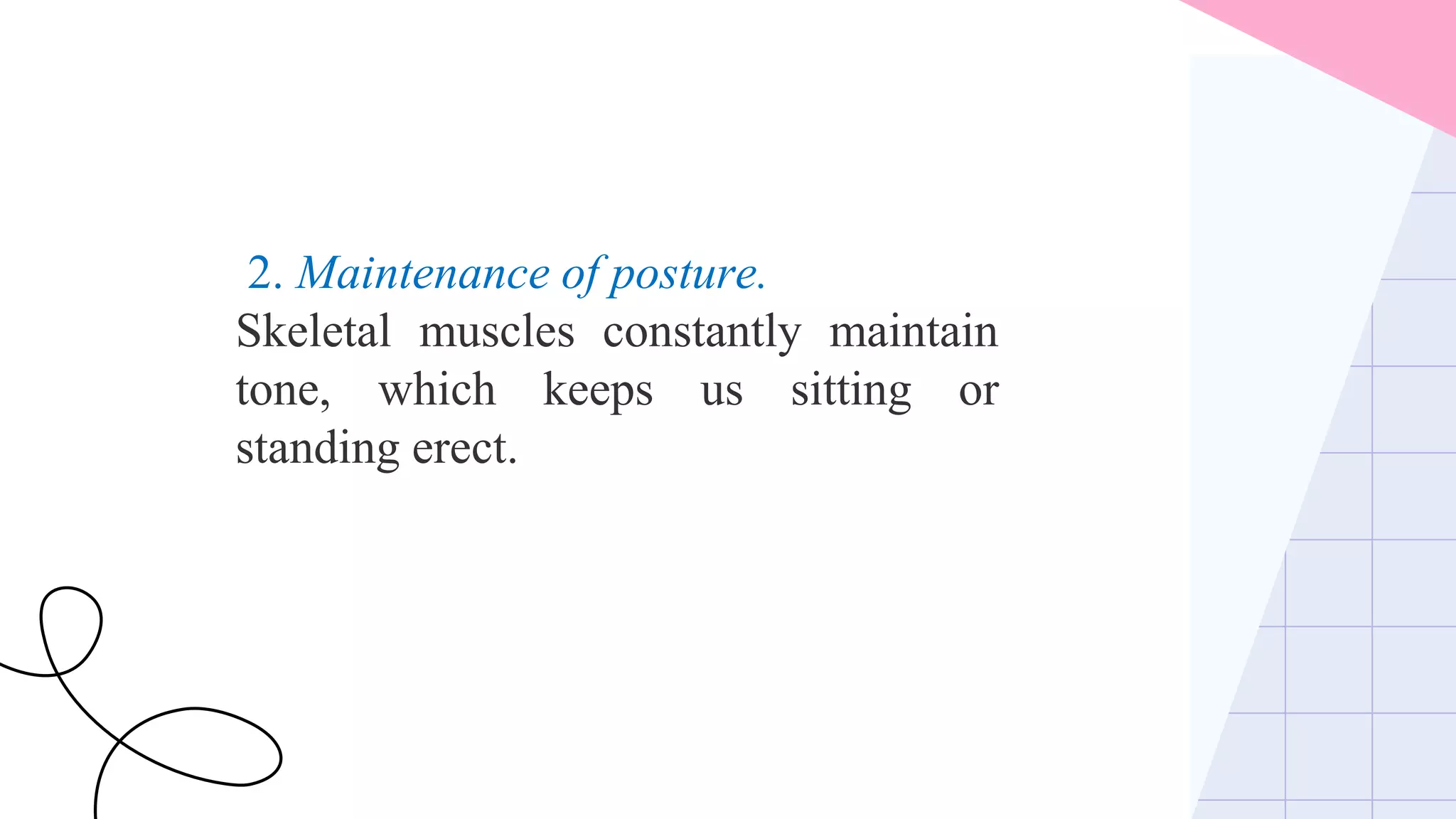 MUSCULAR-PHYSIO.pptx