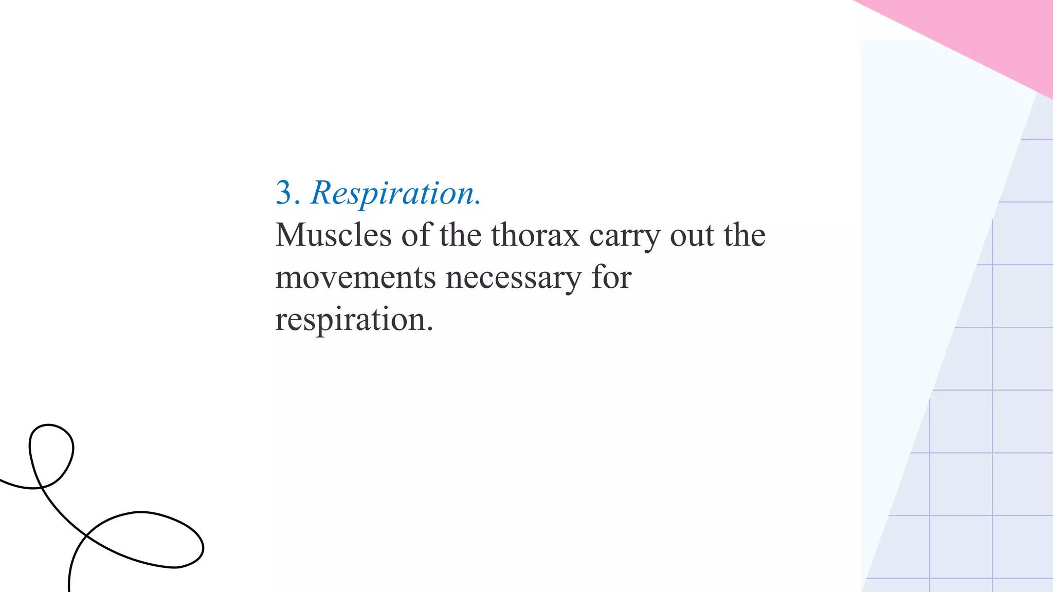 MUSCULAR-PHYSIO.pptx