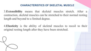 MUSCULAR-PHYSIO.pptx