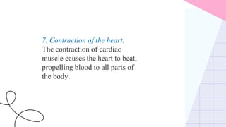 MUSCULAR-PHYSIO.pptx