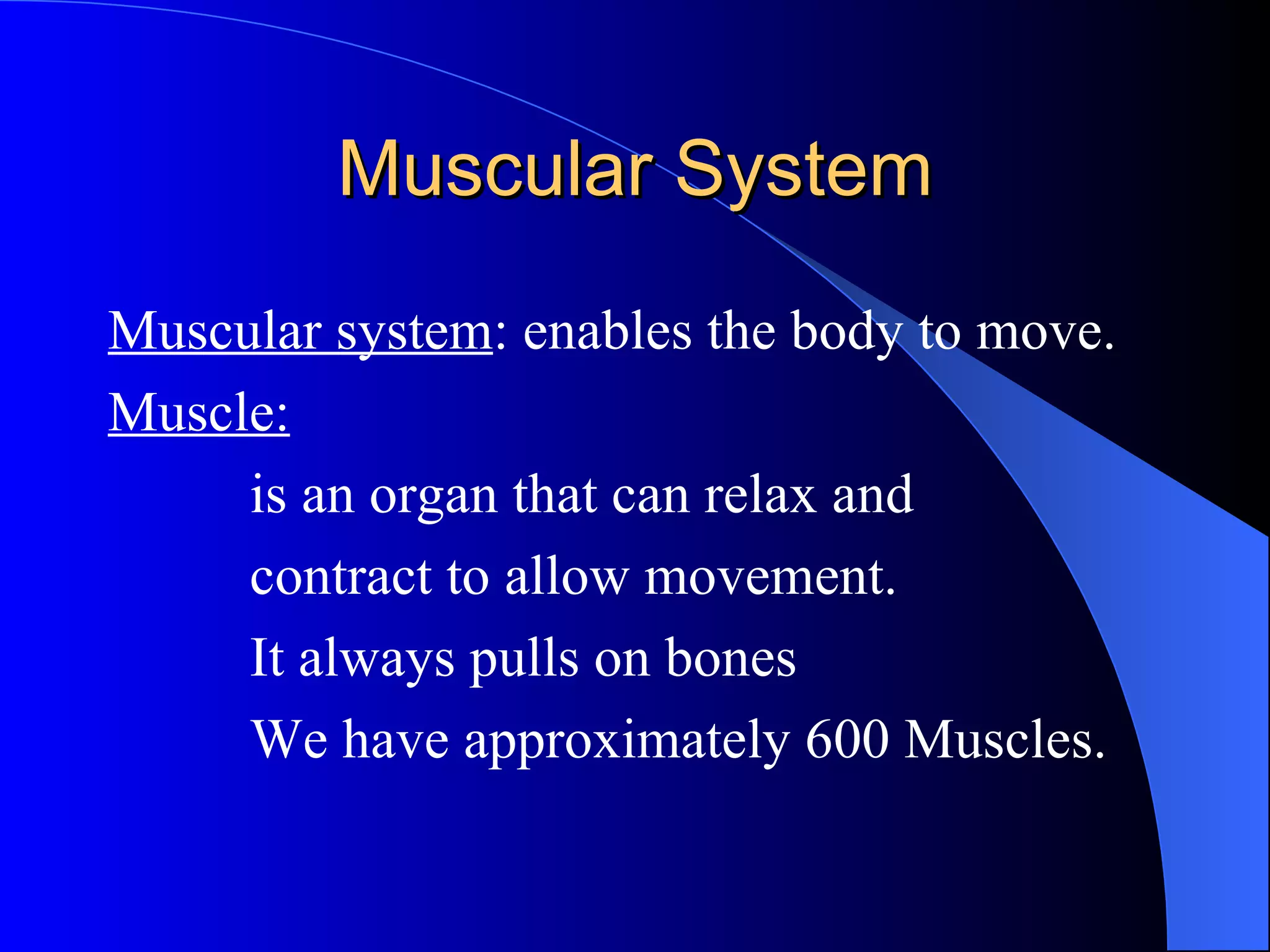 Muscular System | PPT