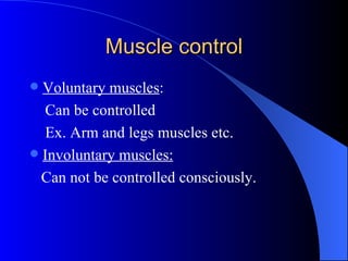 Muscular System | PPT