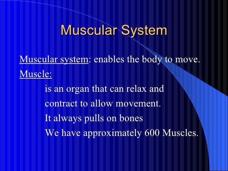 Muscular System Ppt