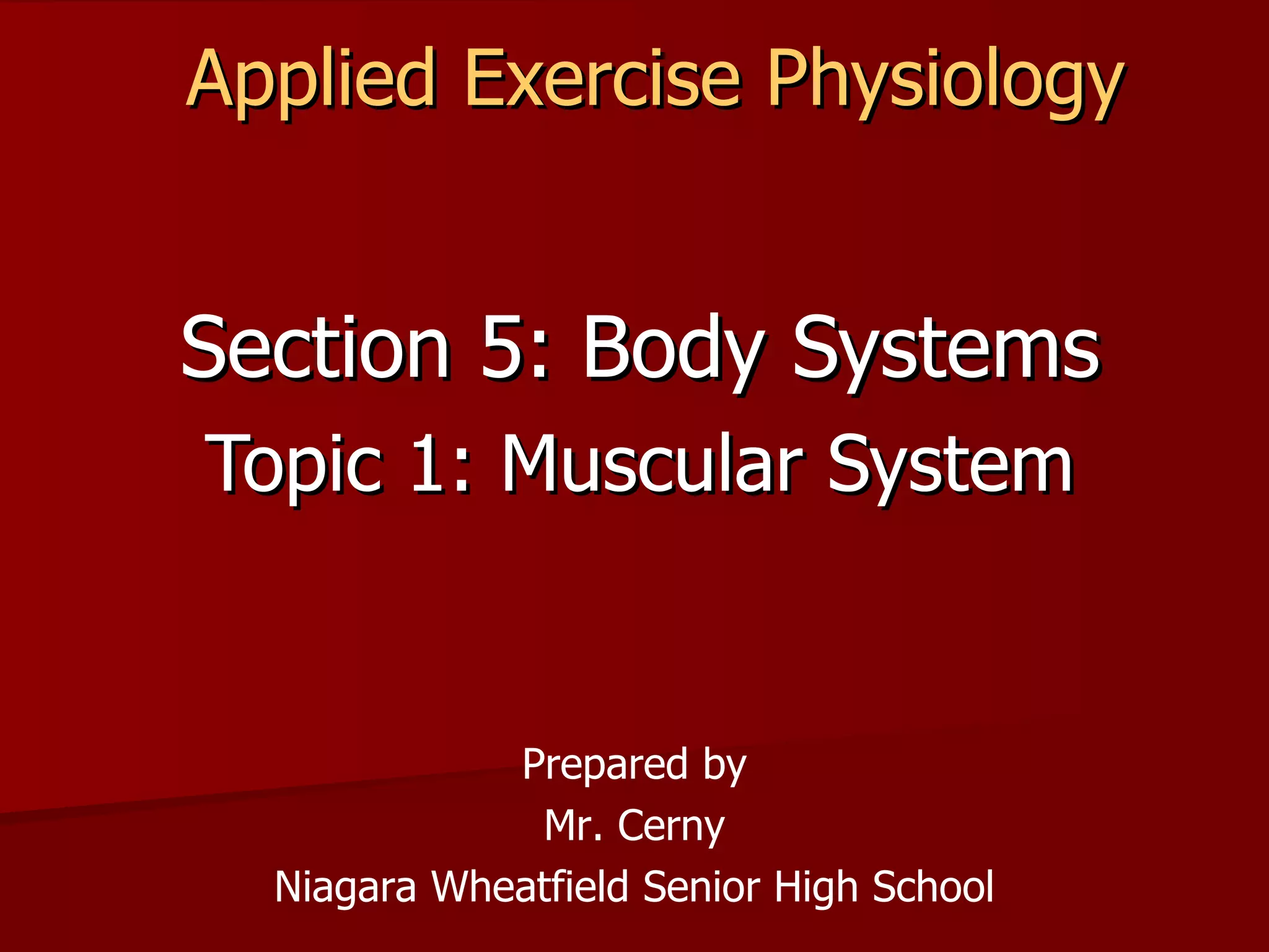 Muscular System | PPT