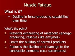 Muscular System | PPT