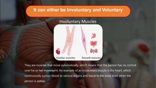 Muscular-System.pptx