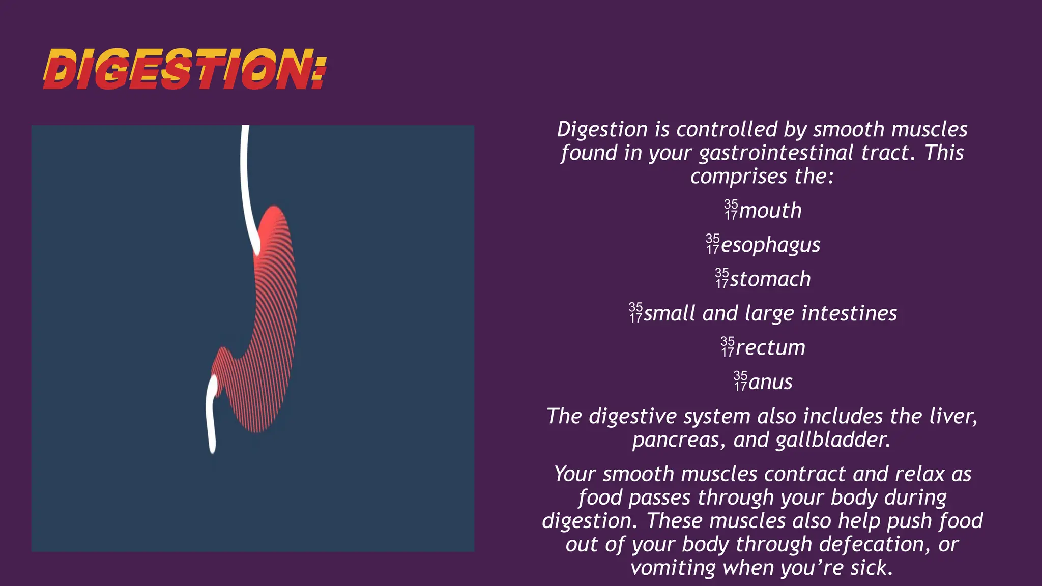 SYSTEM OF MUSCULAR SYSTEM OF MUSCULARSYSTEM OF MUSCULAR | PPTX