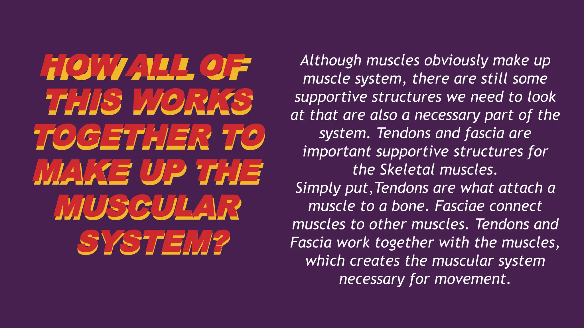 SYSTEM OF MUSCULAR SYSTEM OF MUSCULARSYSTEM OF MUSCULAR | PPTX