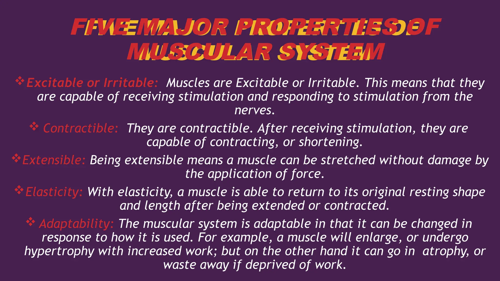 SYSTEM OF MUSCULAR SYSTEM OF MUSCULARSYSTEM OF MUSCULAR | PPTX