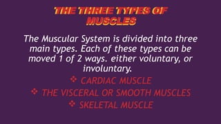 SYSTEM OF MUSCULAR SYSTEM OF MUSCULARSYSTEM OF MUSCULAR | PPT