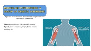 Muscular-System-Presentation-.pdf ANATOMY AND PHYSIOLOGY | PDF