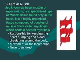 Muscular-System_group3-anatomy-ppt (1).pptx